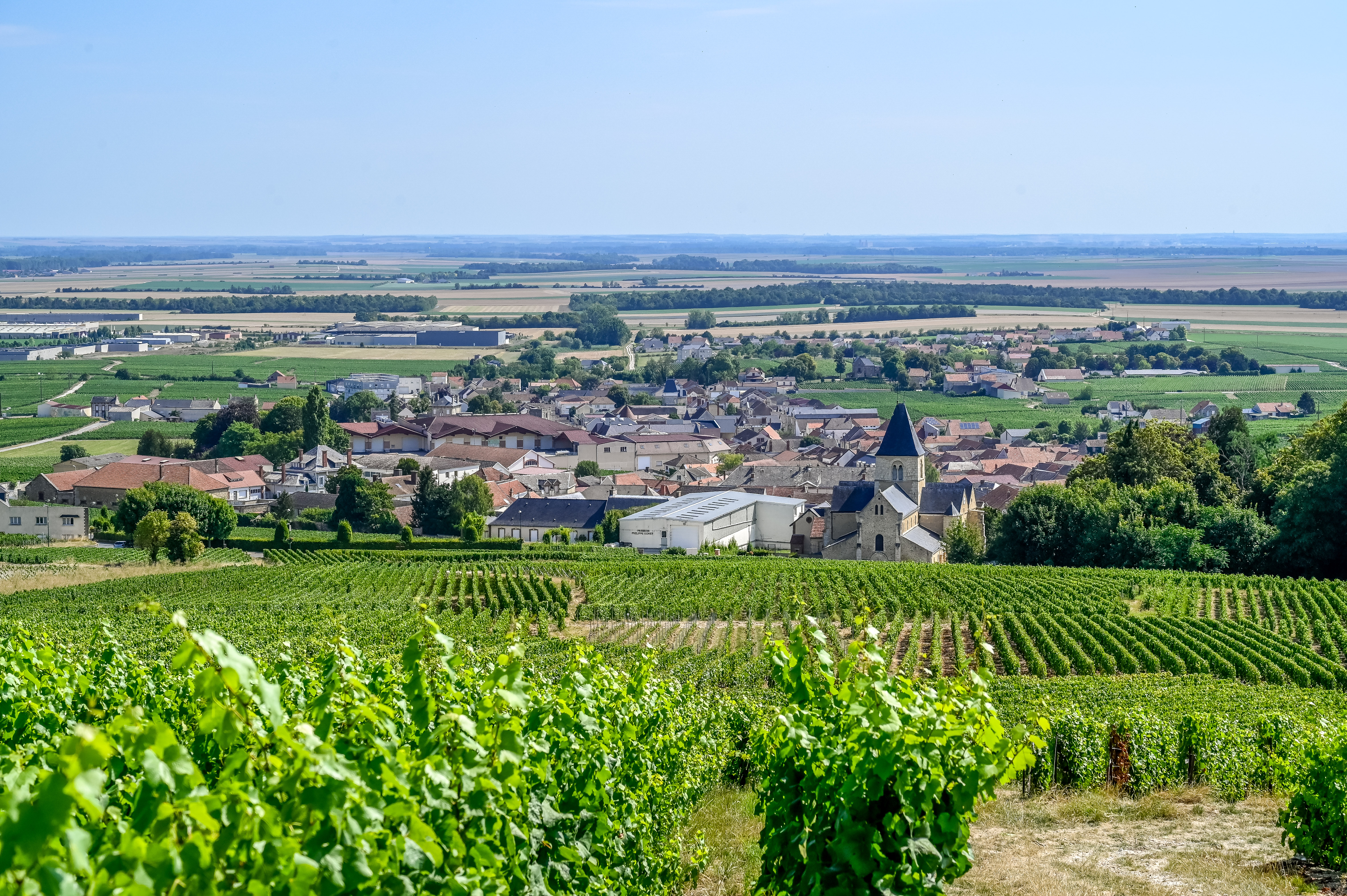 Le Mesnil-sur-Oger | Epernay-Agglo