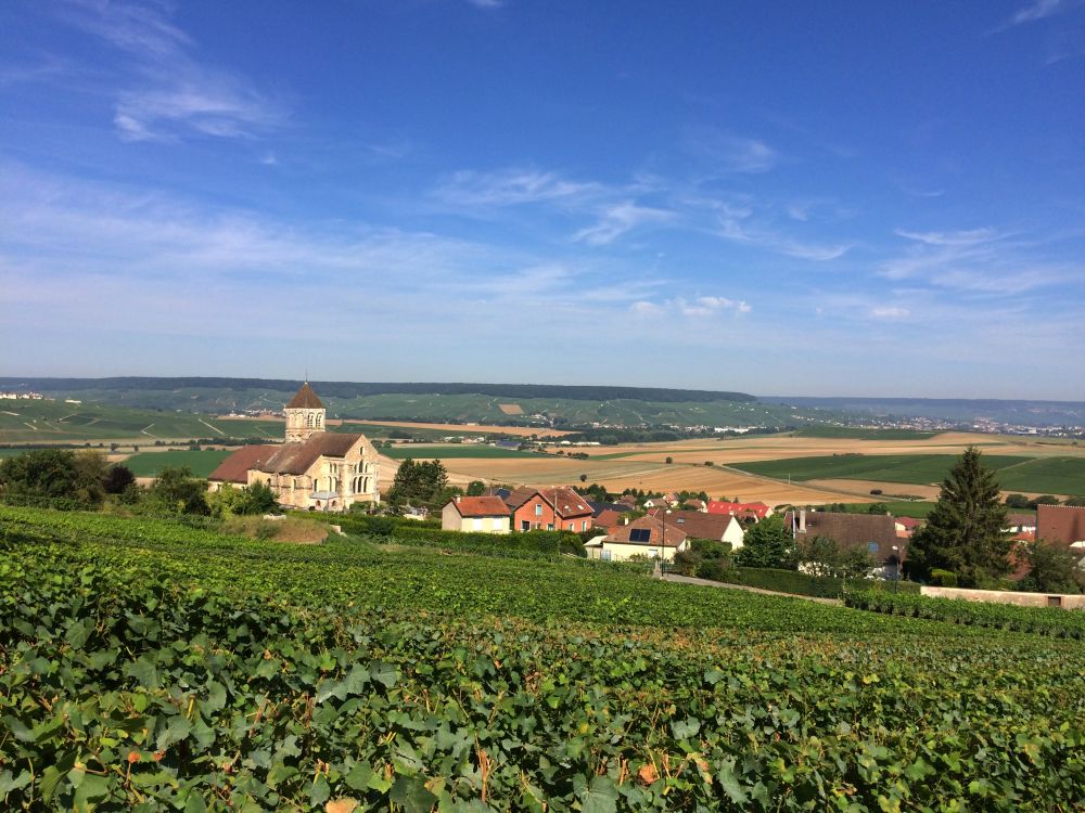 PR117 Boucle de Cuis | Epernay-Agglo